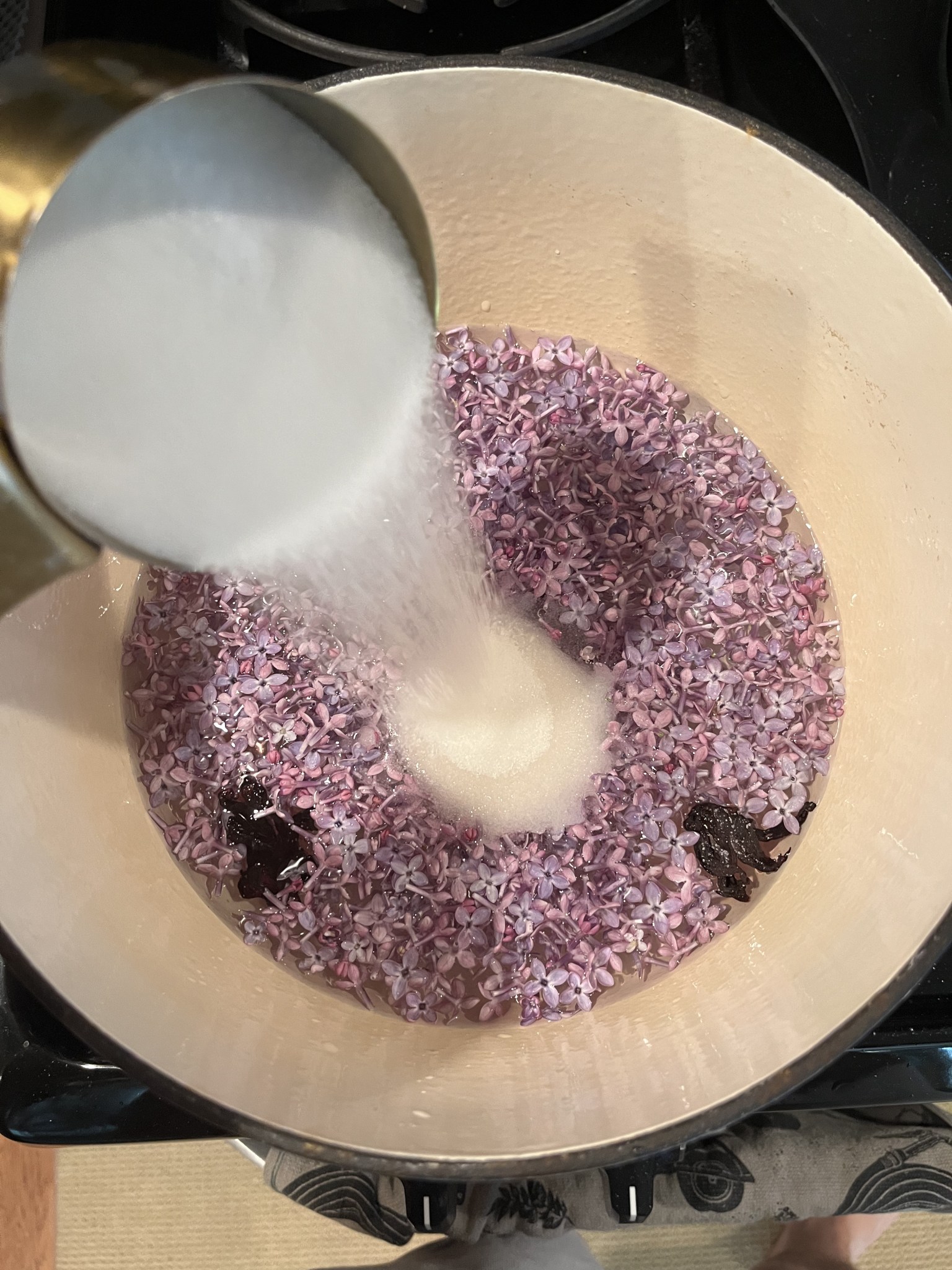 Lilac Syrup – BlueJayLewis Wild Recipes